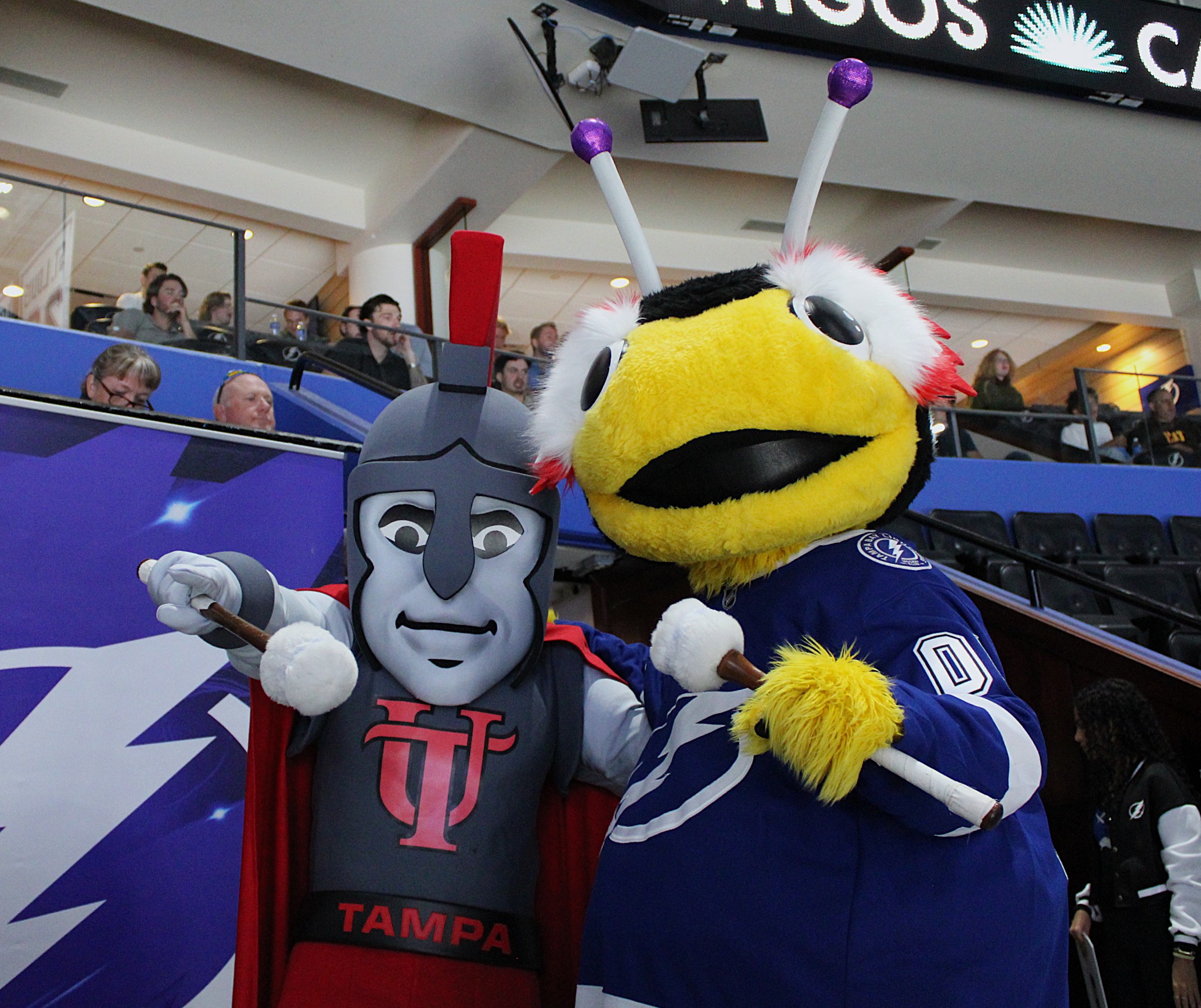 First-Year Studies Take Over the Tampa Bay Lightning
